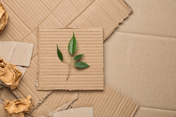 Cardboard vs Corrugated Board: Ultimate Guide For Their Difference