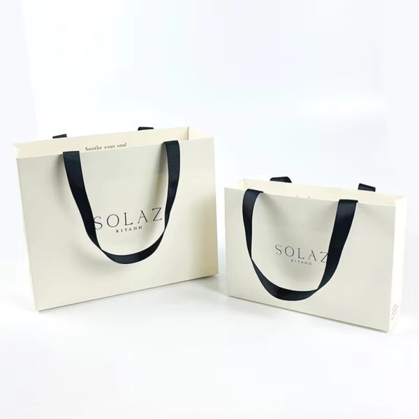 Custom Printed Paper Bags to Improve Your Brand