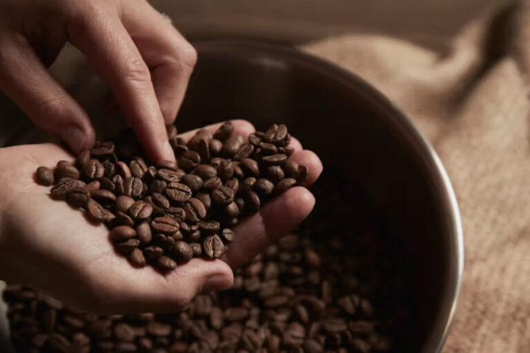 Ultimate Guide to Coffee Packaging: Trends, Types, and Best Practices ...